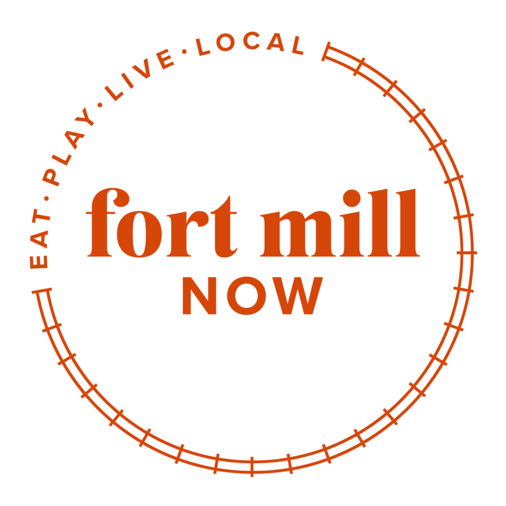 Bricks & Minifigs Opening this Spring in Downtown Fort Mill - Discover ...